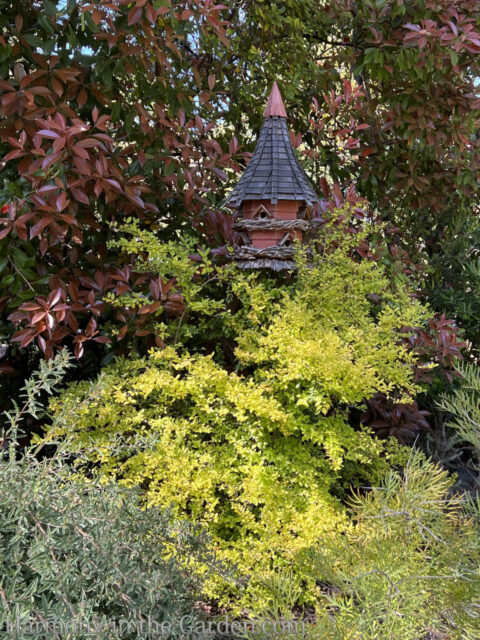 Designing a Modified Meadow - Harmony in the Garden