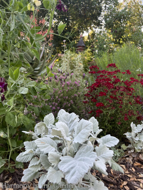 Designing a Modified Meadow - Harmony in the Garden