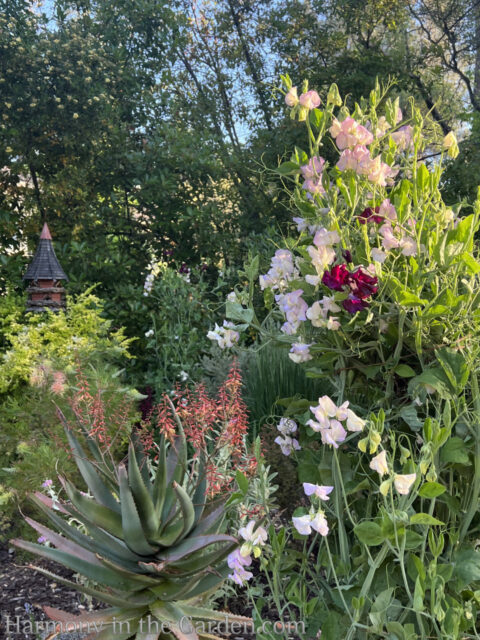 Designing a Modified Meadow - Harmony in the Garden