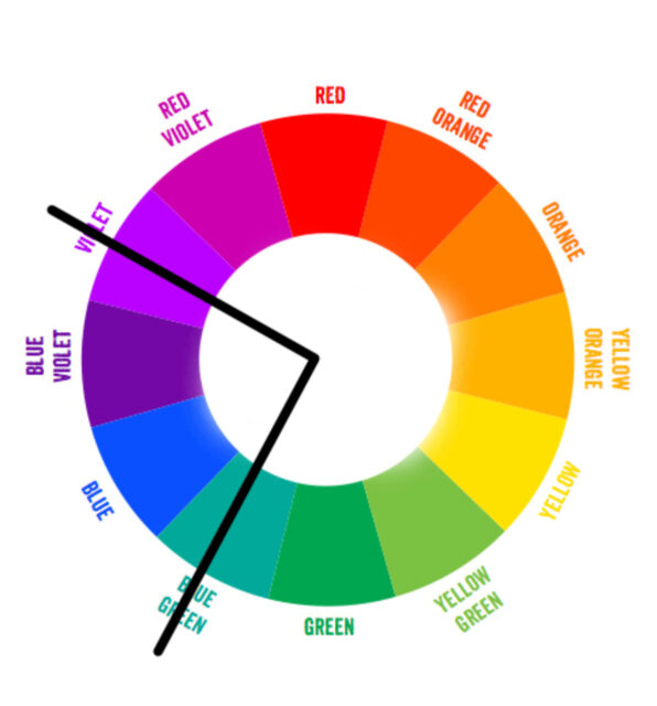 How to use Blue in the Garden - Harmony in the Garden