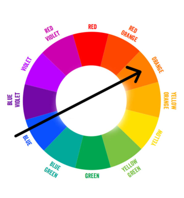 How to use Blue in the Garden - Harmony in the Garden