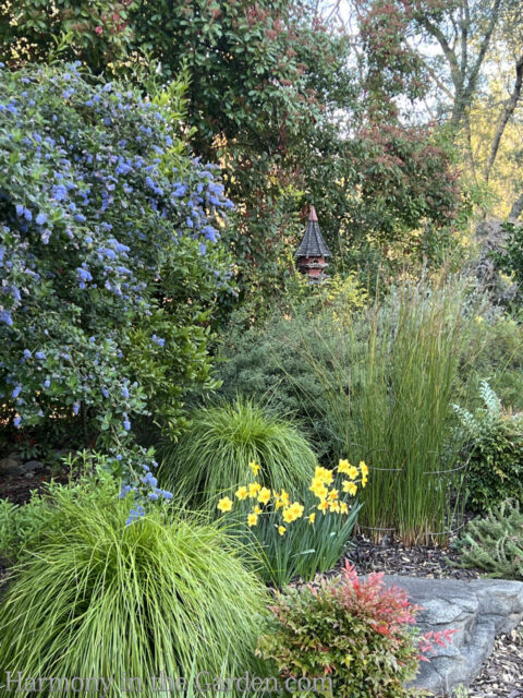 My Top 30 Native Plants for the Garden - Harmony in the Garden
