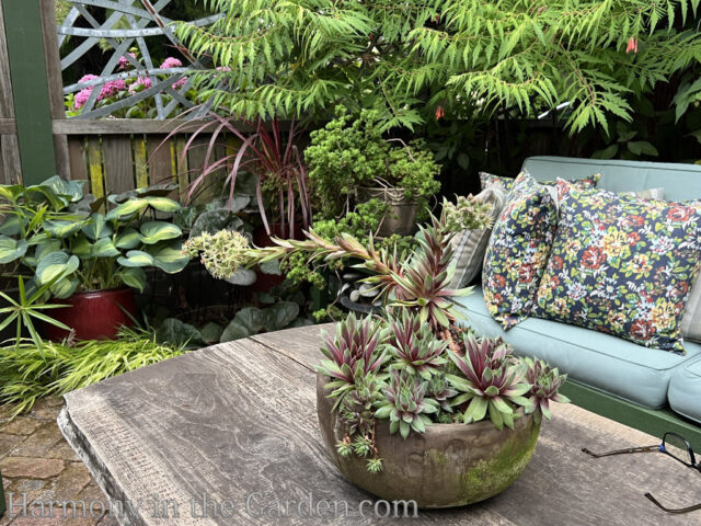 Transform a Tiny Patio: Creative Tips for Charm and Function - Harmony ...